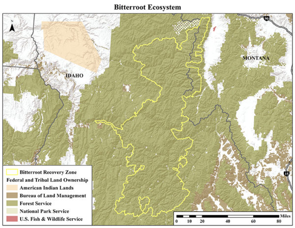 Bitterroot - Interagency Grizzly Bear Committee