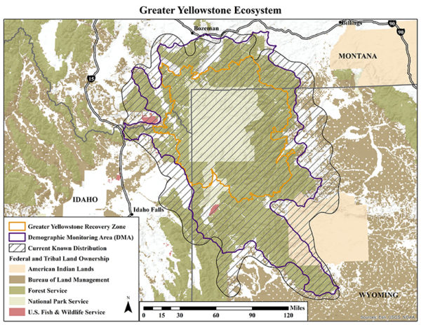 Yellowstone - Interagency Grizzly Bear Committee